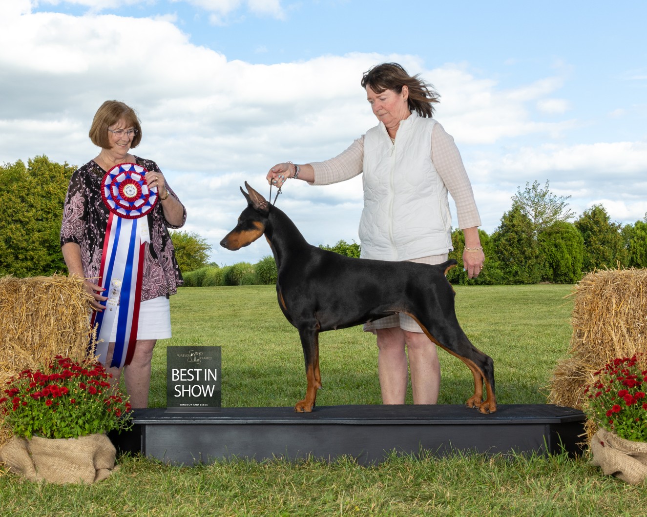 Canuck Dogs: Your source for Canadian dog event information online.