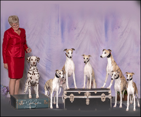 Canuck Dogs: Your source for Canadian dog event information online.